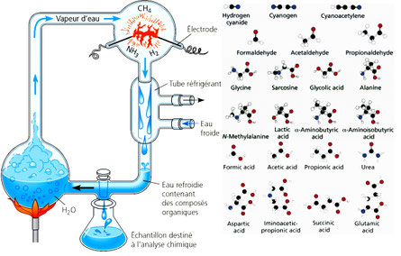 Aux origines du vivant - Site de jeanpierrelavergne
