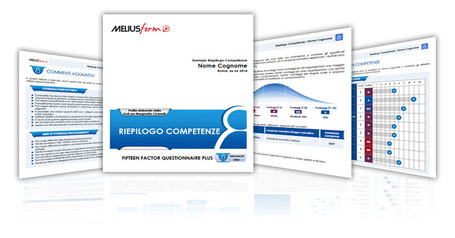 Il potenziale visto dalla psicologia del lavoro: il questionario ...