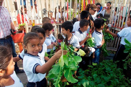 Niños cultivan huertos escolares - Revista LA GENTE de Manabí