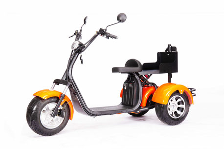 Cougar Cycle - Scooters ATVs UTVs GoKart Motorcycles Dirt-bikes