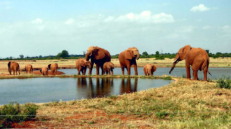 Athi-Galana-Sabaki River - Vacanze e Turismo in Kenya - Viaggio ...