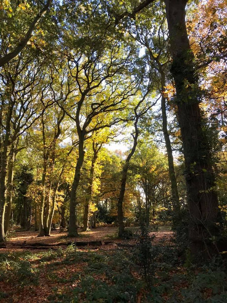 Walmley, Walmley Village - History of Birmingham Places A to Y