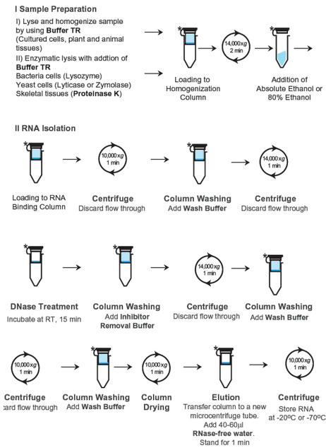 Total RNA Extraction Miniprep - GENEON GMBH - services-products