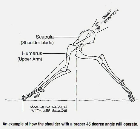 Richard G. Beauchamp. UNDERSTANDING FRONTS /EN - chihuahuaworld