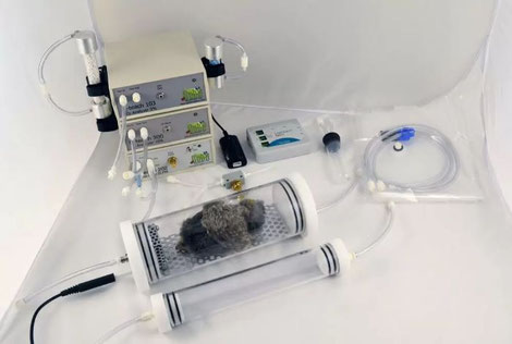 Teach Photosynthesis, Animal Respirometry - Vienna Scientific