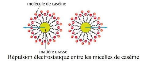 Comment fabriquer une colle naturelle ? - Site de tpe-colles