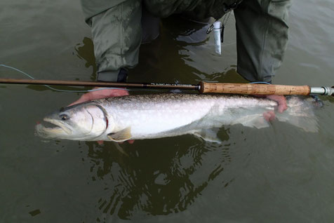 十勝のフライフィッシングガイドサービス fly fishing guide service Hokkaido Tokachi ...