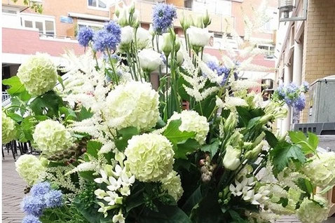 Bloem cadeau - Erica Bloemen: Online bloemist in Lelystad, Emmeloord ...