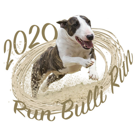 Anfahrt - run-bulli-runs Webseite!