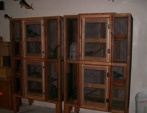 INDIVIDUAL BREEDING PENS - Website of merrickpigeons!
