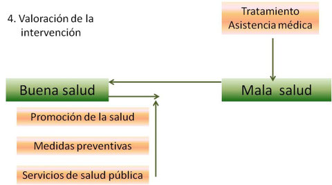 Definición y aplicaciones de la Epidemiología - Página web de bioamerica6