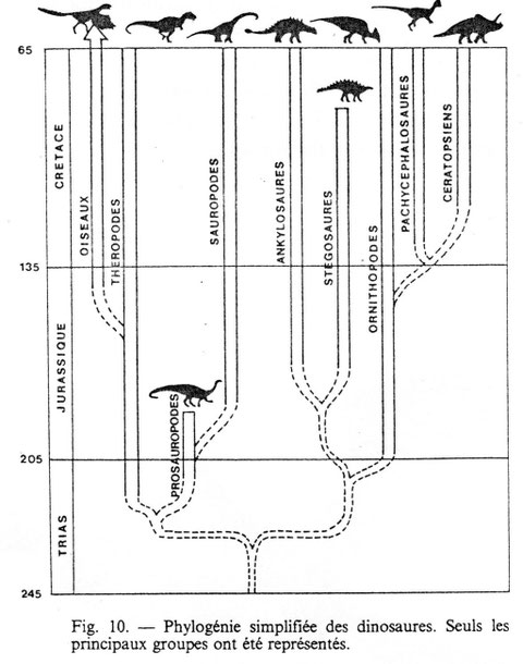 Classification - Connaitre les dinosaures, physiologie, alimentation ...