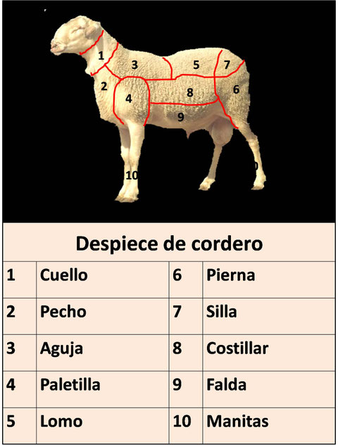 Cordero - Página web de cocinacuriosa