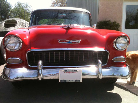 55 & 56 Chevy Bug Screen - Winter Front Grill Cover And Bug Screen