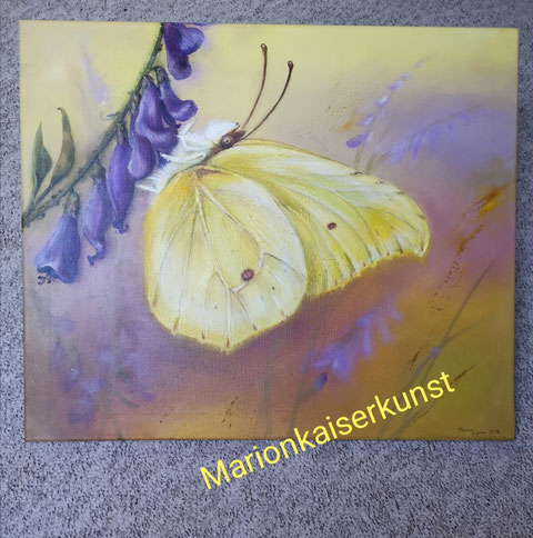 Acrylbilder - Marion Kaiser