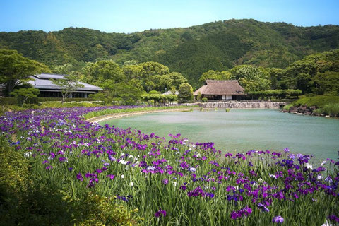 Uwajima City Information - Enjoy Uwajima Tour