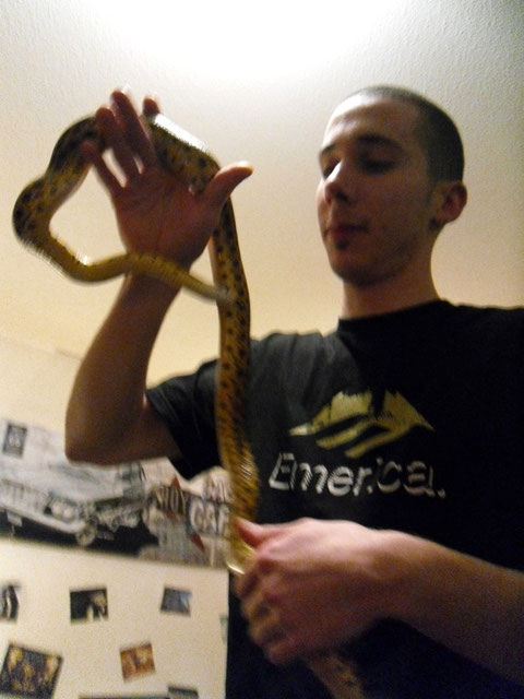 Ma Présentation - Site Jimdo de shadows-passion!