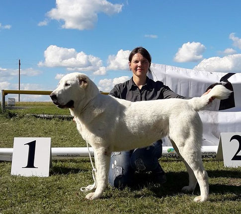 Mata Hari - Website of alabai-gruodas!