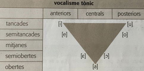 Gramàtica - Llengua catalana i literatura