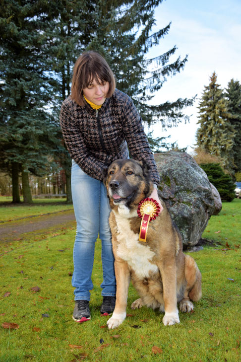 In Memorium - Website of alabai-gruodas!