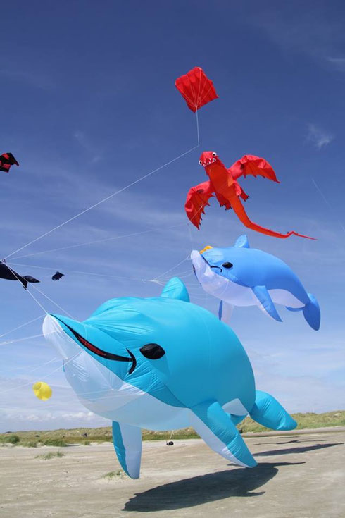 My kites - luckykites