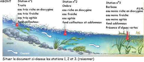 Leçon 2 ROM2013 - Site de svt-ostrevant