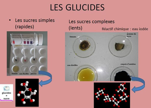 Accueil - Site de svt-chimie-vivant