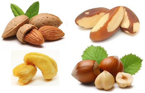 Les graines et fruits oléagineux - Perruches et perroquets