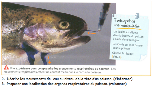 L1rom - Site de svt-ostrevant