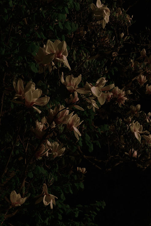 exhibition views - planet solitude