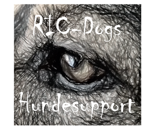 Gedanken vor der Adoption - ric-dogs Hundesupport