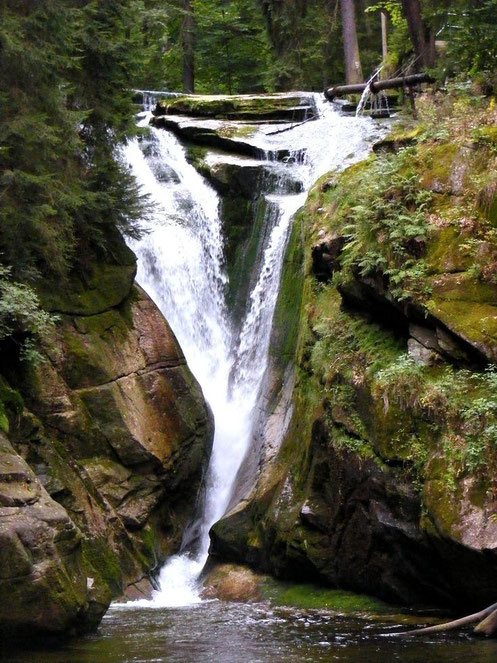 parki narodowe - krajobrazydryptys