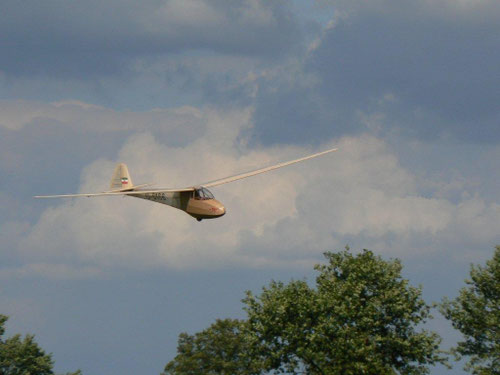 L-Spatz 55 (4m) - lamafliegers Webseite!