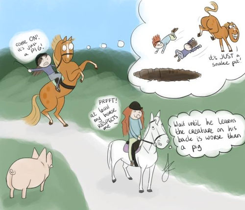 FREQUENTLY ASKED TRAINING QUESTION: How do I help my horse overcome his ...