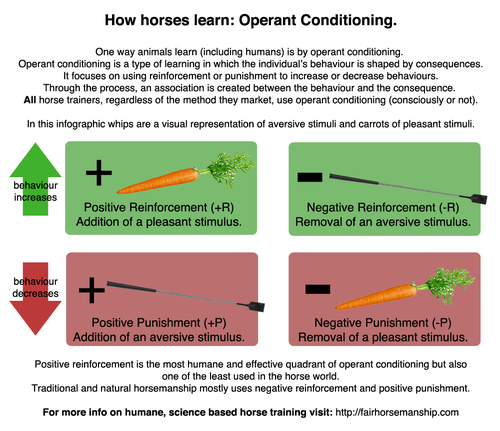 WHAT IS AVERSIVE TRAINING? And why you should stop using it ...