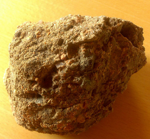 RIED Zöbinger Heiligenstein 1ÖTW - Erste Lage - Weingut Brandl Zöbing