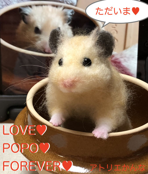 KINKUMAさん (ゴールデンハムスター キンクマ 男の子 小動物 KINKUMAさん (ゴールデンハムスター キンクマ 男の子 小動物