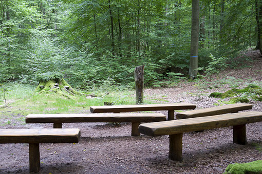 Waldbestattung: Das FriedWald Konzept am Beispiel des FriedWalds Bernau ...