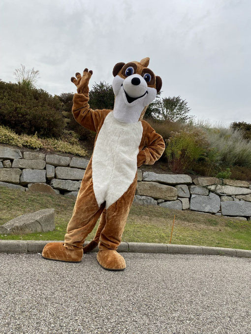 Begleit-tier - Sabine Köglberger