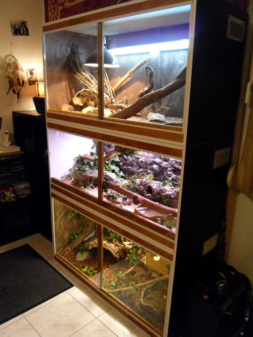 Montage de terrarium en mélaminé - Site Jimdo de shadows-passion!