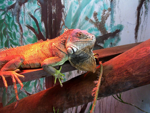 Nos Visites - Site Jimdo de shadows-passion!