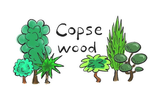Copse-wood - figarokobo