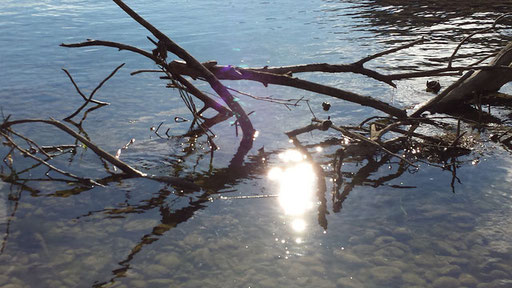 COMPUTER VISION UND MACHINE LEARNING SERVICES - Jinn-Bot Robotics & Design