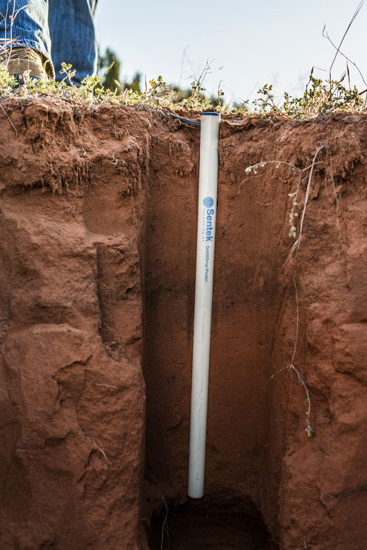 Mesurer l'humidité du sol - SENTEK - Capteurs Agralis