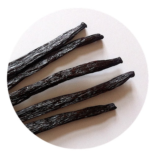 Las vainas de vainilla son la materia prima con la que todo empieza ...