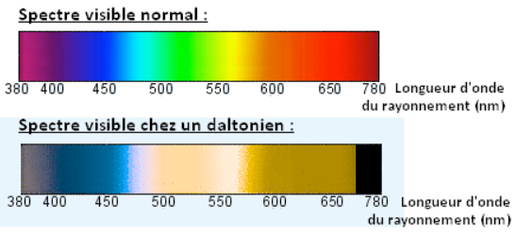 Partie I : de l'oeil au cerveau : quelques aspects de la vision - Site ...