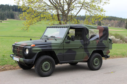 Nicole (MB Wolf) - ig-olivs Webseite!