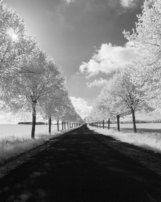 Infrarot - holger nimtz photography - moderne fotokunst