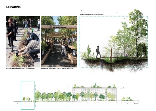 FORET DEMAIN - Site de michelskevinpaysage