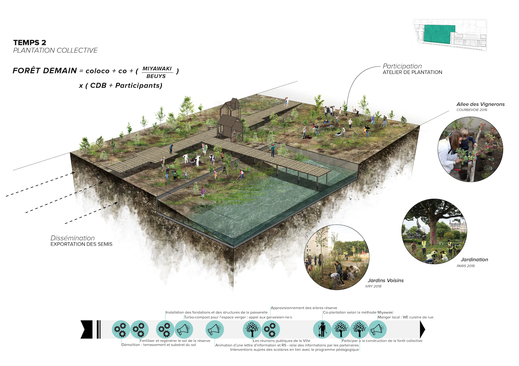 FORET DEMAIN - Site de michelskevinpaysage